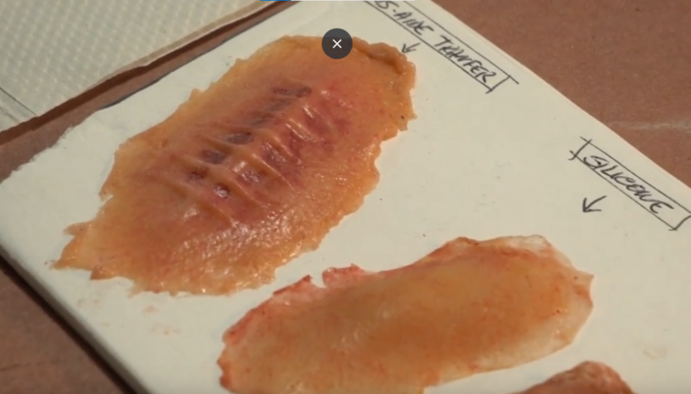 How to Create Realistic Wounds and Scars with Prosthetics? - Cinema ...