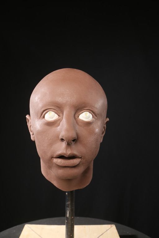 How to Make a Prosthetic Mask?